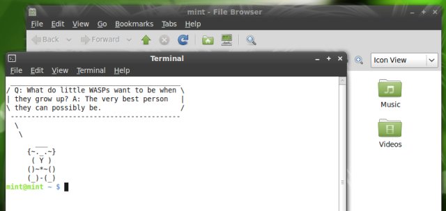 Linux Mint 8 Helena - Superb execution