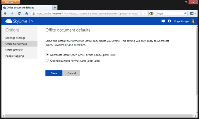 Microsoft SkyDrive - Nifty and useful