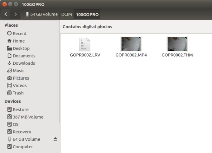 How to handle SD cards formatted as exFAT in Linux